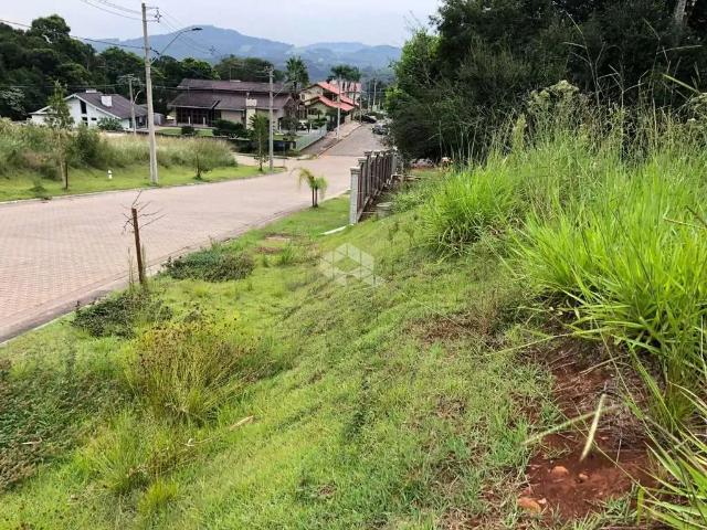 Terreno / Lote para Venda em Ivoti/RS Palmares
