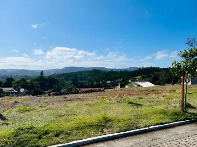 Terreno / Lote para Venda em Ivoti/RS Palmares