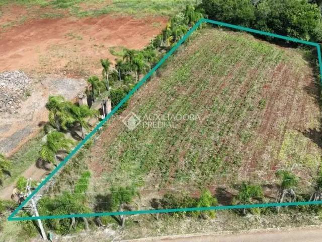 Terreno / Lote para Venda em Ivoti/RS Picada 48 Alta