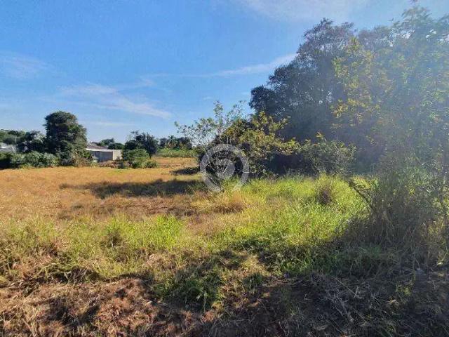 Terreno / Lote para Venda em Ivoti/RS Vista Alegre