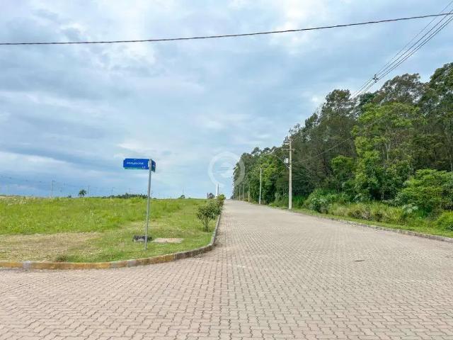 Terreno / Lote para Venda em Ivoti/RS Vista Alegre