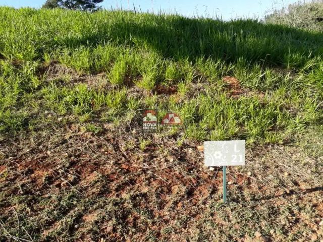 Terreno / Lote para Venda em Jambeiro/SP Tapanhao
