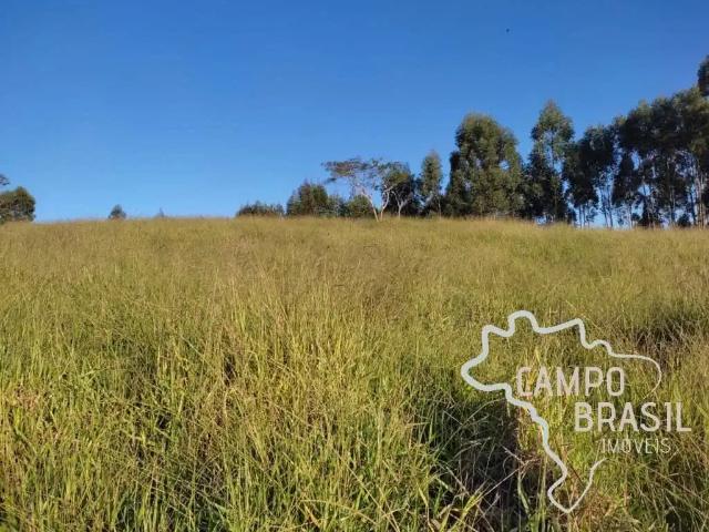 Terreno / Lote para Venda em Jambeiro/SP Zona Rural