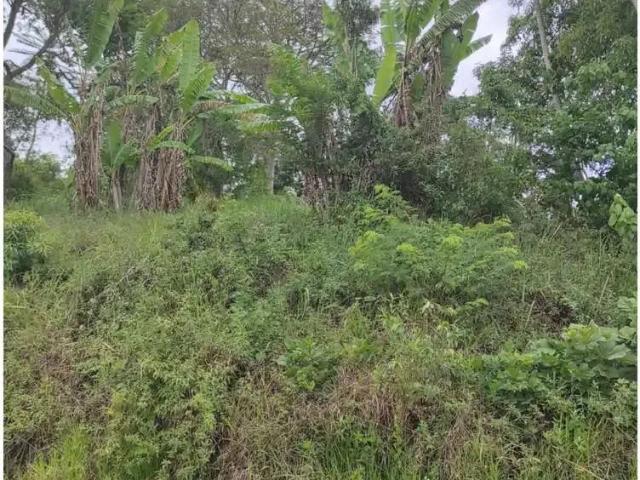 Terreno / Lote para Venda em Jambeiro/SP Área Rural de Jambeiro
