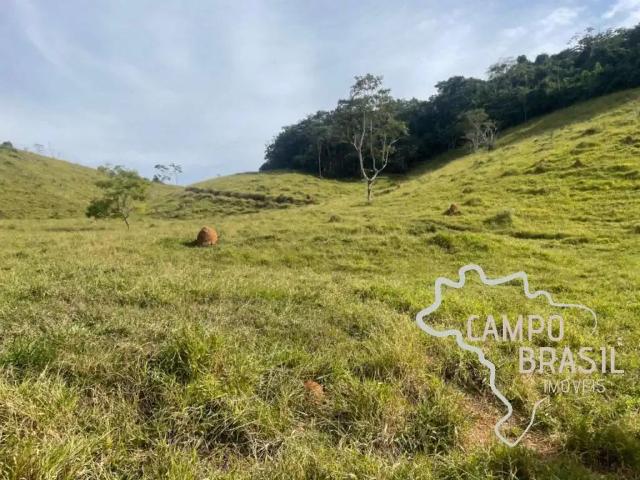 Terreno / Lote para Venda em Jambeiro/SP Zona Rural