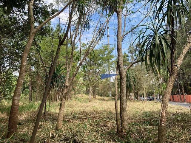 Terreno / Lote para Venda em Jandira/SP Granja Viana