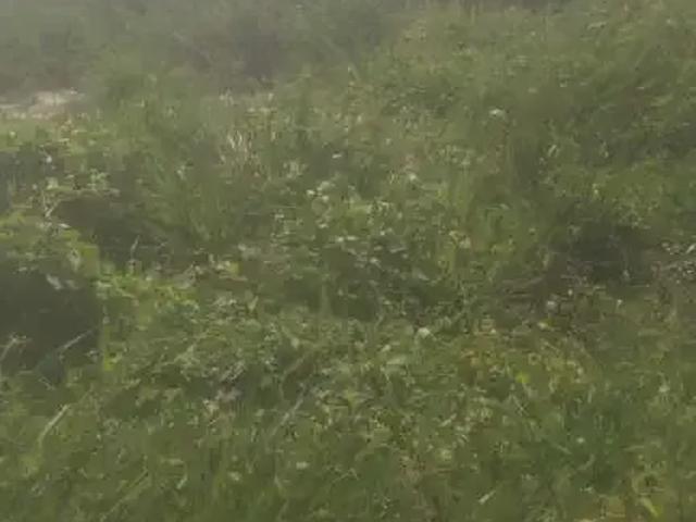 Terreno / Lote para Venda em Jaboatão dos Guararapes/PE Barra de Jangada