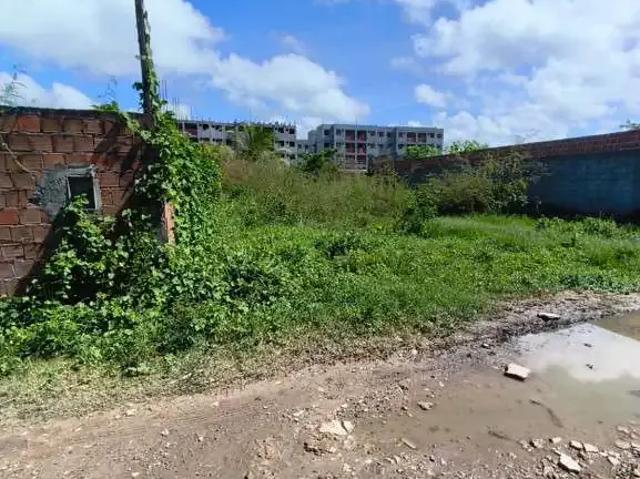 Terreno / Lote para Venda em Jaboatão dos Guararapes/PE Candeias