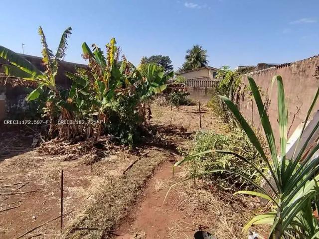 Terreno / Lote para Venda em Jaboticabal/SP Jardim Angélica