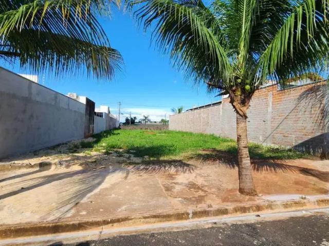 Terreno / Lote para Venda em Jaboticabal/SP Jardim Barcelona