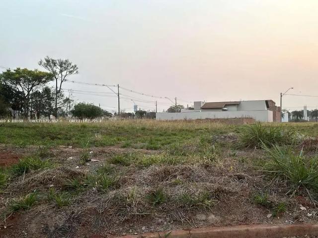 Terreno / Lote para Venda em Jaboticabal/SP Jardim Monterrey