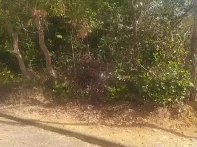 Terreno / Lote para Venda em Jaboticatubas/MG Condomínio Estância da Mata