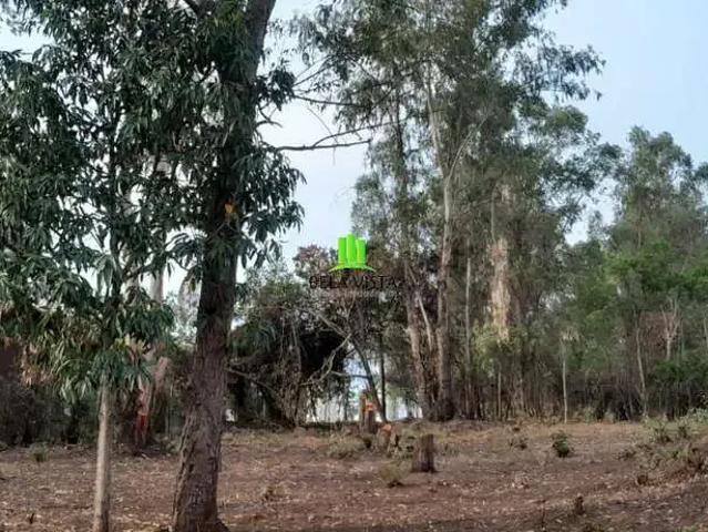Terreno / Lote para Venda em Jaboticatubas/MG Canto Alegre
