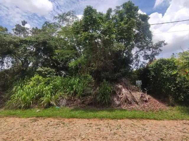 Terreno / Lote para Venda em Jaboticatubas/MG Centro