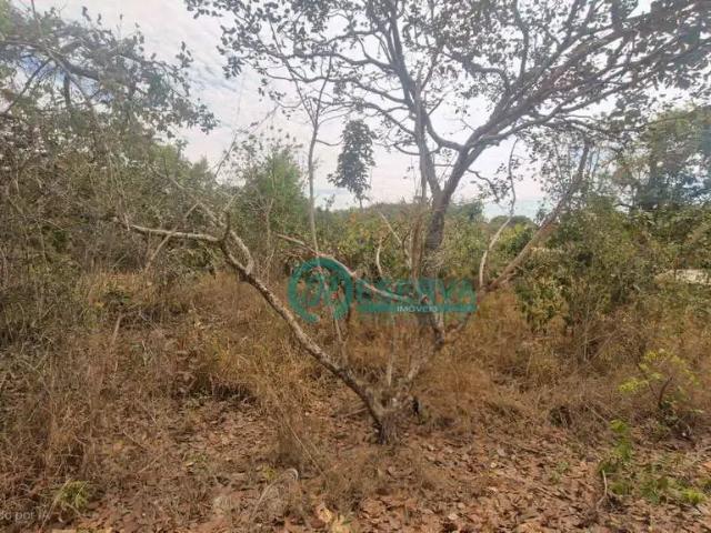 Terreno / Lote para Venda em Jaboticatubas/MG São José De Almeida