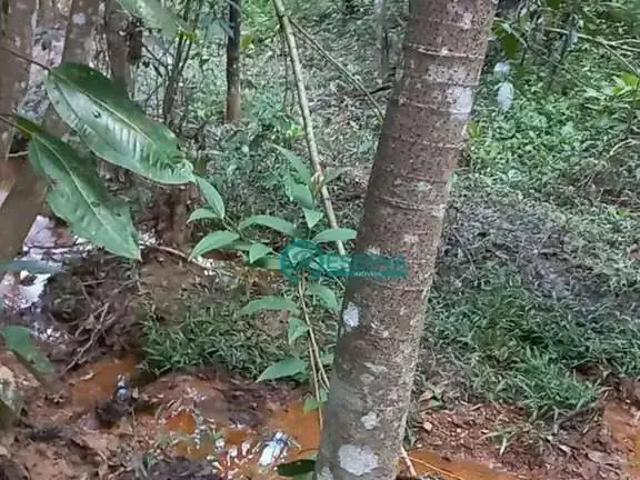 Terreno / Lote para Venda em Jaboticatubas/MG Vila Almeida