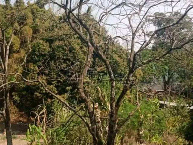 Terreno / Lote para Venda em Jacareí/SP Cidade Nova Jacareí