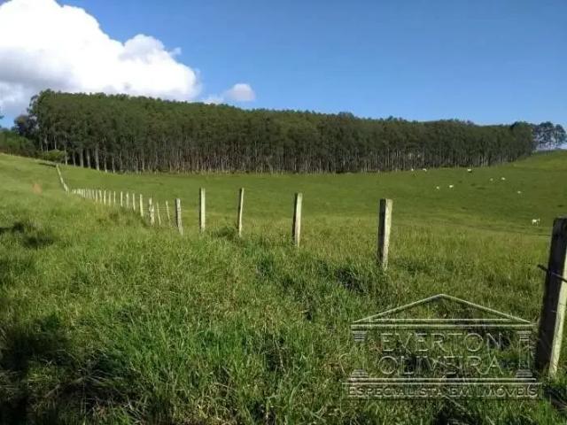 Terreno / Lote para Venda em Jacareí/SP Jardim Maria Amélia