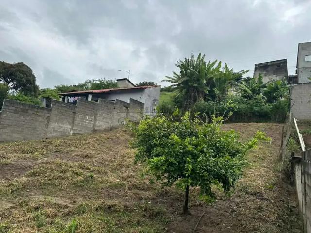 Terreno / Lote para Venda em Jacareí/SP Jardim Maria Amélia
