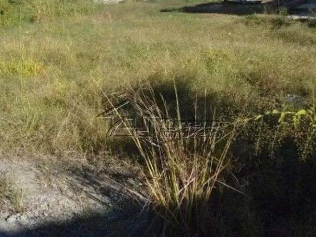 Terreno / Lote para Venda em Jacareí/SP Jardim Paraíso