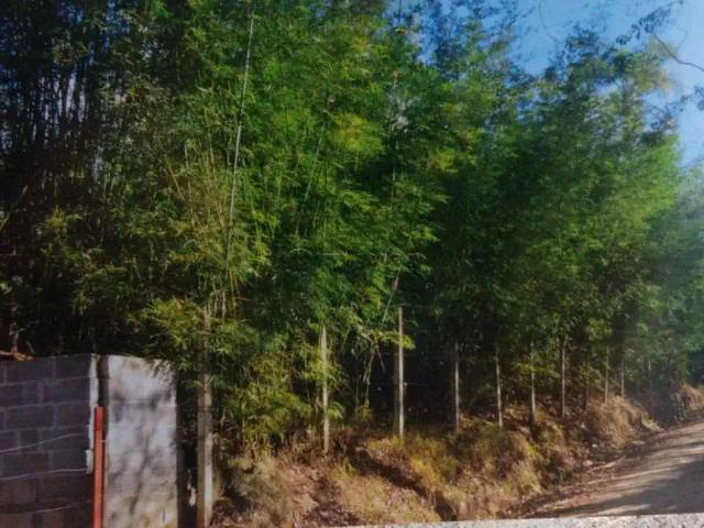 Terreno / Lote para Venda em Jacareí/SP Veraneio Ijal