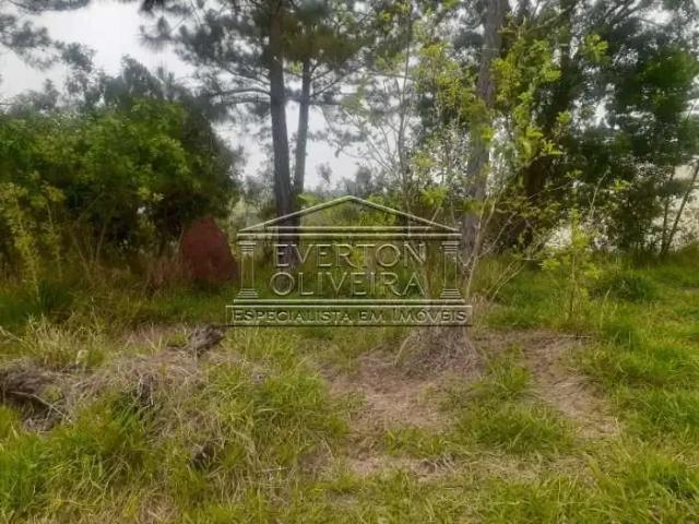 Terreno / Lote para Venda em Jacareí/SP Veraneio Ijal