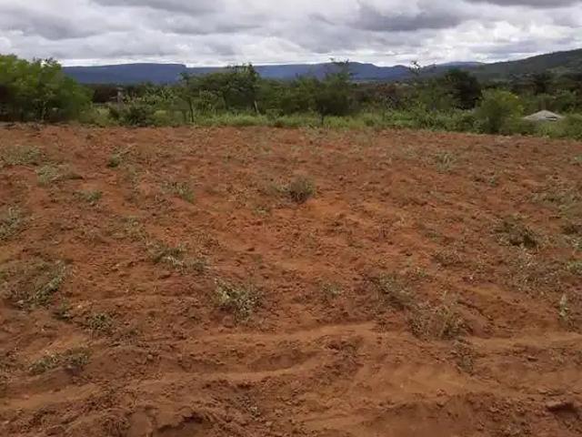 Terreno / Lote para Venda em Jacobina/BA Centro