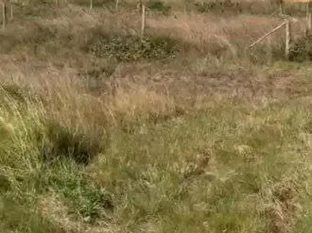 Terreno / Lote para Venda em Jaguaruna/SC Campo Bom