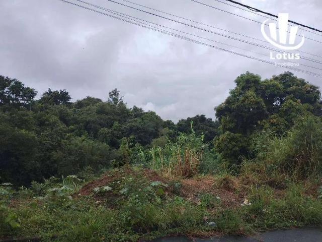 Terreno / Lote para Venda em Jaguariúna/SP Colinas do Castelo