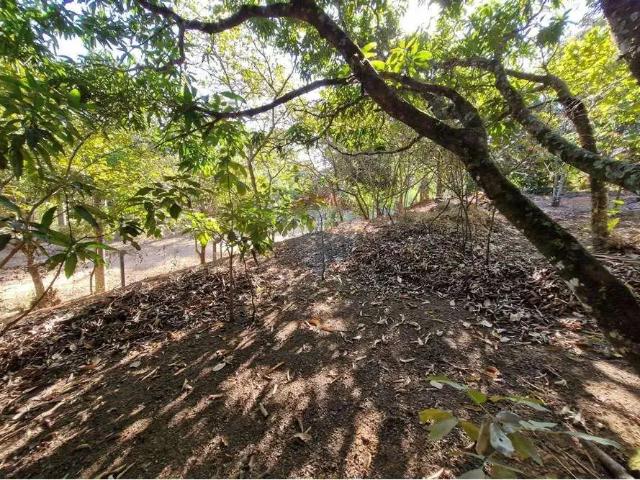 Terreno / Lote para Venda em Jaguariúna/SP Chácara Recreio Floresta