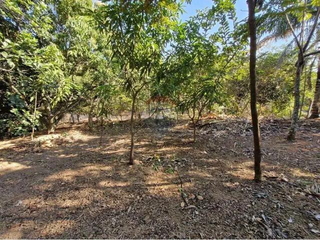 Terreno / Lote para Venda em Jaguariúna/SP Chácara Recreio Floresta