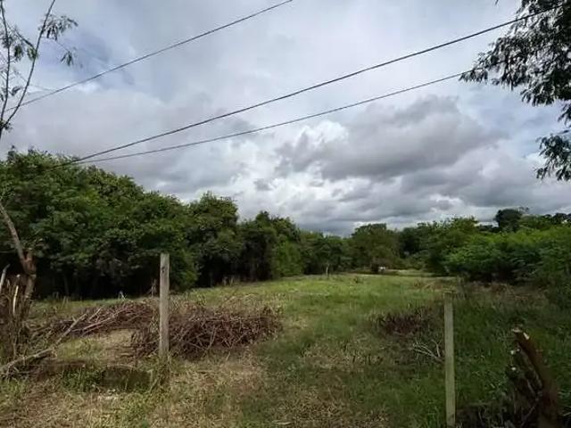 Terreno / Lote para Venda em Jaguariúna/SP Roseira de Baixo