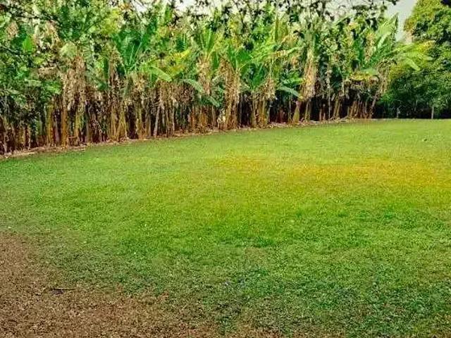 Terreno / Lote para Venda em Jaguariúna/SP Tanquinho Velho