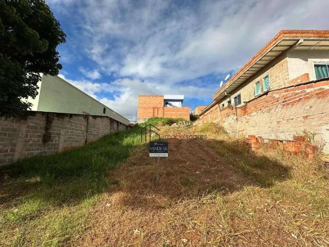 Terreno / Lote para Venda em Jaguariúna/SP Vila Primavera