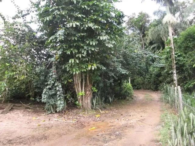 Terreno / Lote para Venda em Jaraguá do Sul/SC Nereu Ramos 2 Quartos