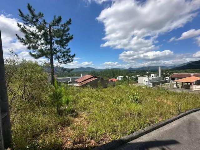 Terreno / Lote para Venda em Jaraguá do Sul/SC Nereu Ramos