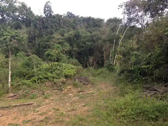 Terreno / Lote para Venda em Jaraguá do Sul/SC Amizade