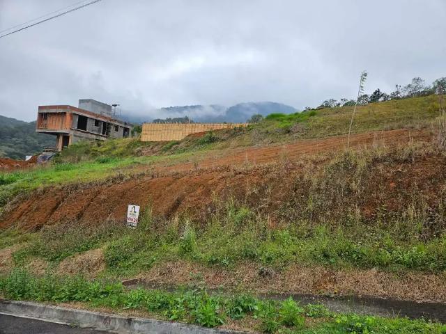 Terreno / Lote para Venda em Jaraguá do Sul/SC Amizade