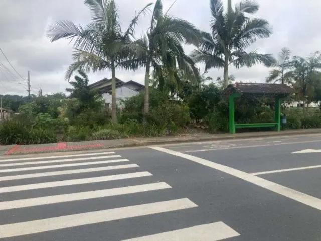Terreno / Lote para Venda em Jaraguá do Sul/SC Amizade