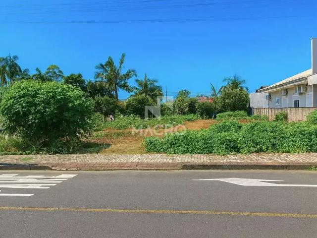 Terreno / Lote para Venda em Jaraguá do Sul/SC Amizade