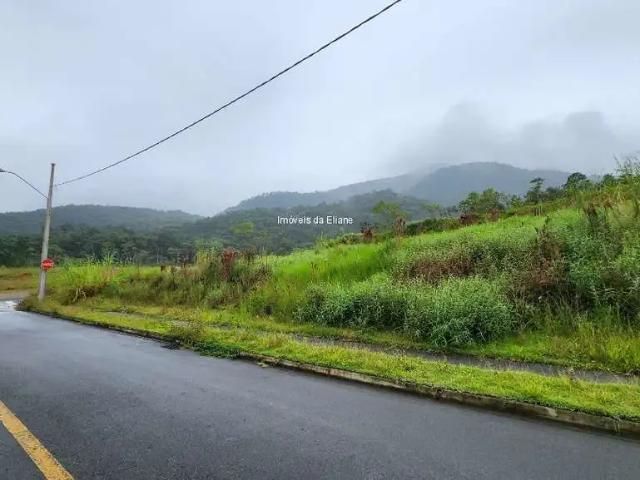 Terreno / Lote para Venda em Jaraguá do Sul/SC Amizade
