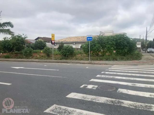 Terreno / Lote para Venda em Jaraguá do Sul/SC Amizade