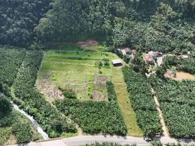 Terreno / Lote para Venda em Jaraguá do Sul/SC Área Rural de Jaraguá do Sul