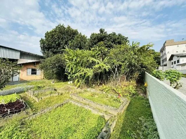 Terreno / Lote para Venda em Jaraguá do Sul/SC Baependi