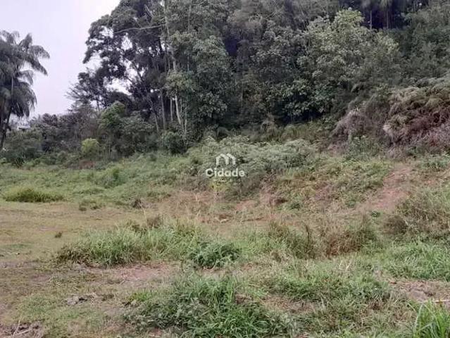 Terreno / Lote para Venda em Jaraguá do Sul/SC Barra do Rio Cerro