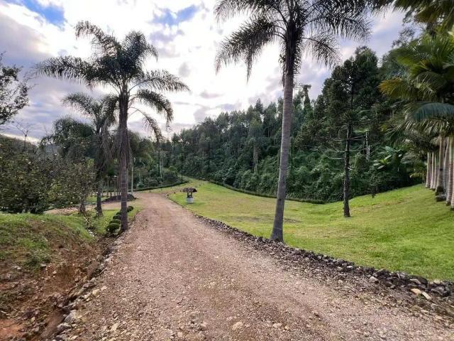 Terreno / Lote para Venda em Jaraguá do Sul/SC Barra do Rio Cerro