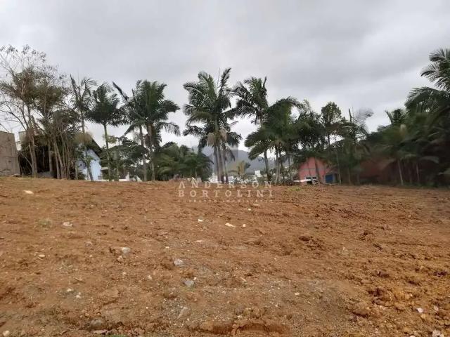 Terreno / Lote para Venda em Jaraguá do Sul/SC Barra do Rio Cerro