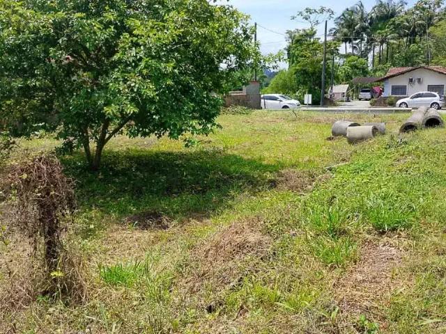 Terreno / Lote para Venda em Jaraguá do Sul/SC Centenário
