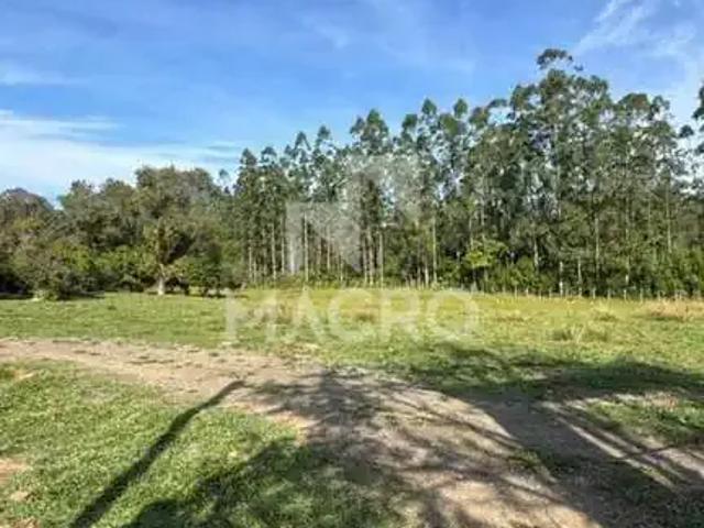 Terreno / Lote para Venda em Jaraguá do Sul/SC Centenário