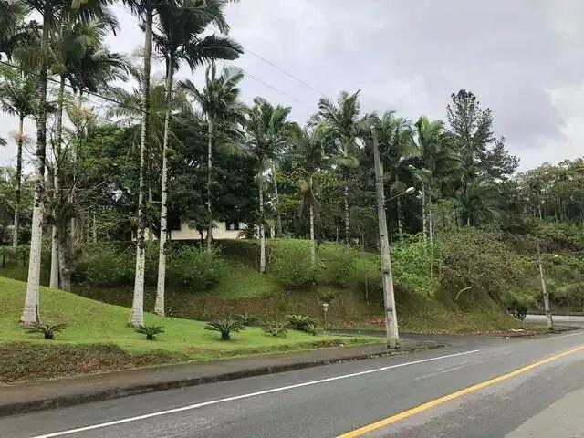 Terreno / Lote para Venda em Jaraguá do Sul/SC Chico de Paulo